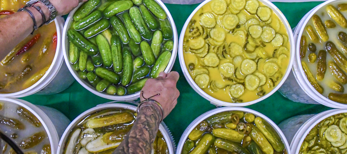 KaylinandKaylin - Buy Best Vegan Pickles Online Best Prices – KAYLIN ...